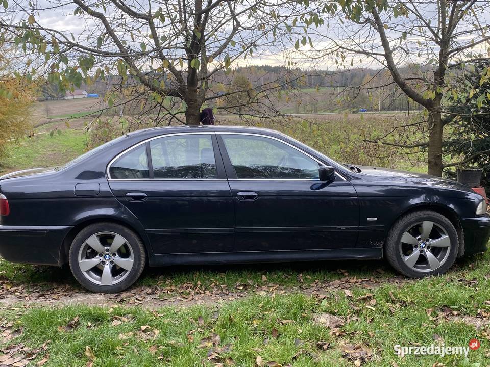 BMW E39 535i v8 LPG 1998r. Rzeczyca-Kolonia - Sprzedajemy.pl