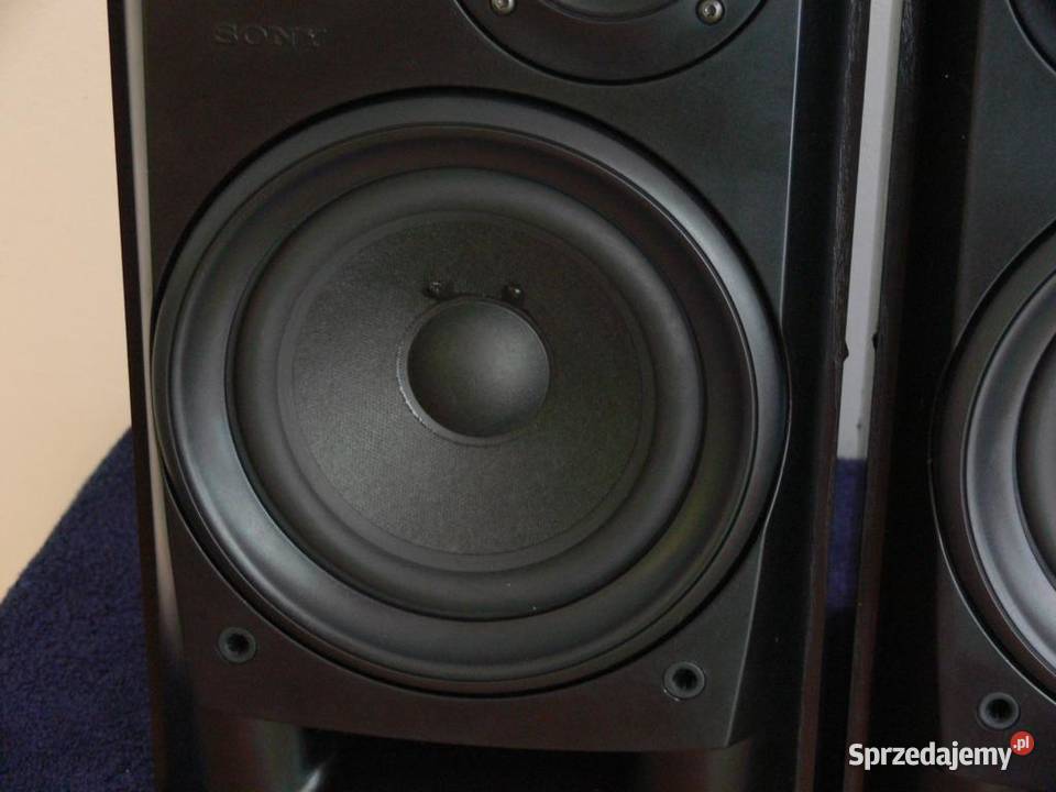 Kolumny Sony SS-EX55 moc 2 x 80 wat. WYSYŁKA. Jasło - Sprzedajemy.pl