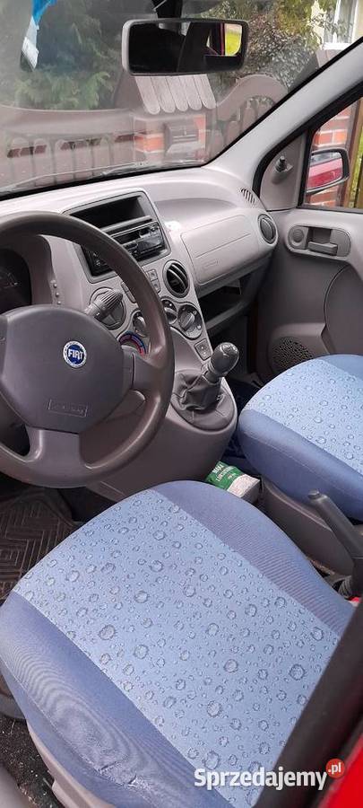 Fiat Panda 1.1 Active Alaska Zielona Góra - Sprzedajemy.pl Fiat Panda 1.1 Active Alaska Zielona Góra - Sprzedajemy.pl