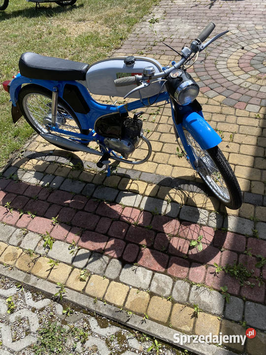 Komar sport Biłgoraj - Sprzedajemy.pl