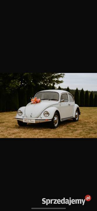 Samochód do ślubu Garbus oraz Fiat 125p Krotoszyn - Sprzedajemy.pl