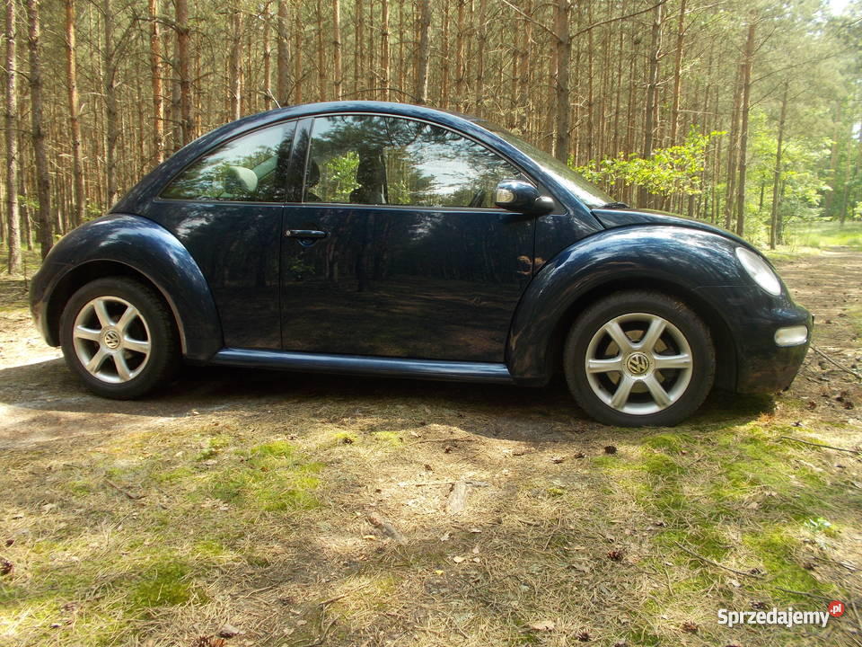 garbus vw new beetle Mariak - Sprzedajemy.pl