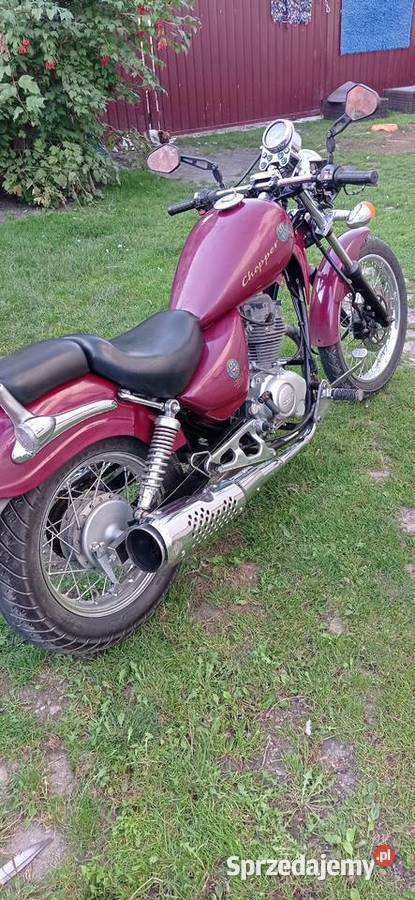 Rex Chopper 125 Szczecyn - Sprzedajemy.pl