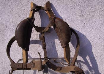 homonto - Sprzedajemy.pl