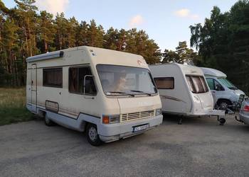 Używany Fiat Ducato na sprzedaż - Sprzedajemy.pl