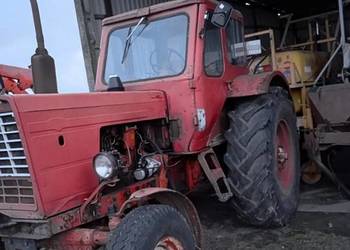 MTZ - Ciągniki - Sprzedajemy.pl